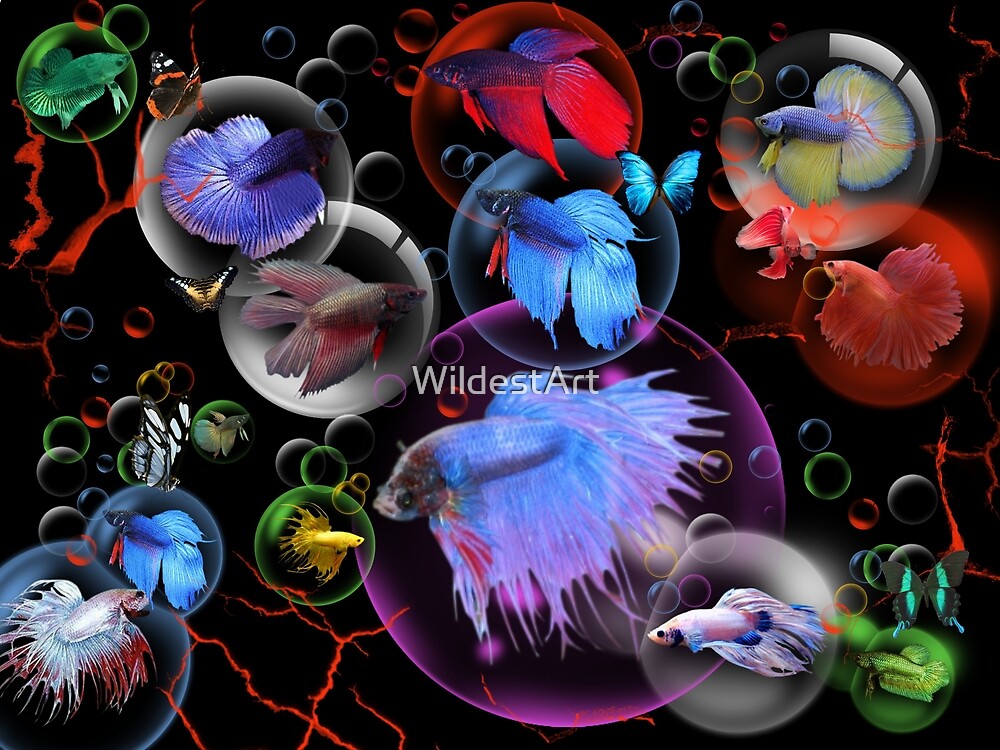 "Fish In Bubbles" by WildestArt | Redbubble
