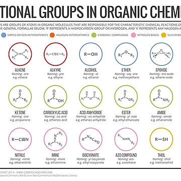 "Functional Groups in Organic Chemistry" Poster for Sale by Compound ...