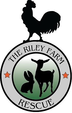 "The Riley Farm Rescue Logo" by Marla Riley | Redbubble