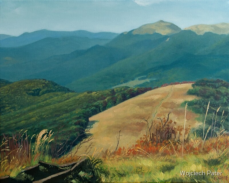 "Bieszczady - View of Smerek from Mala Rawka" by Wojciech Pater | Redbubble