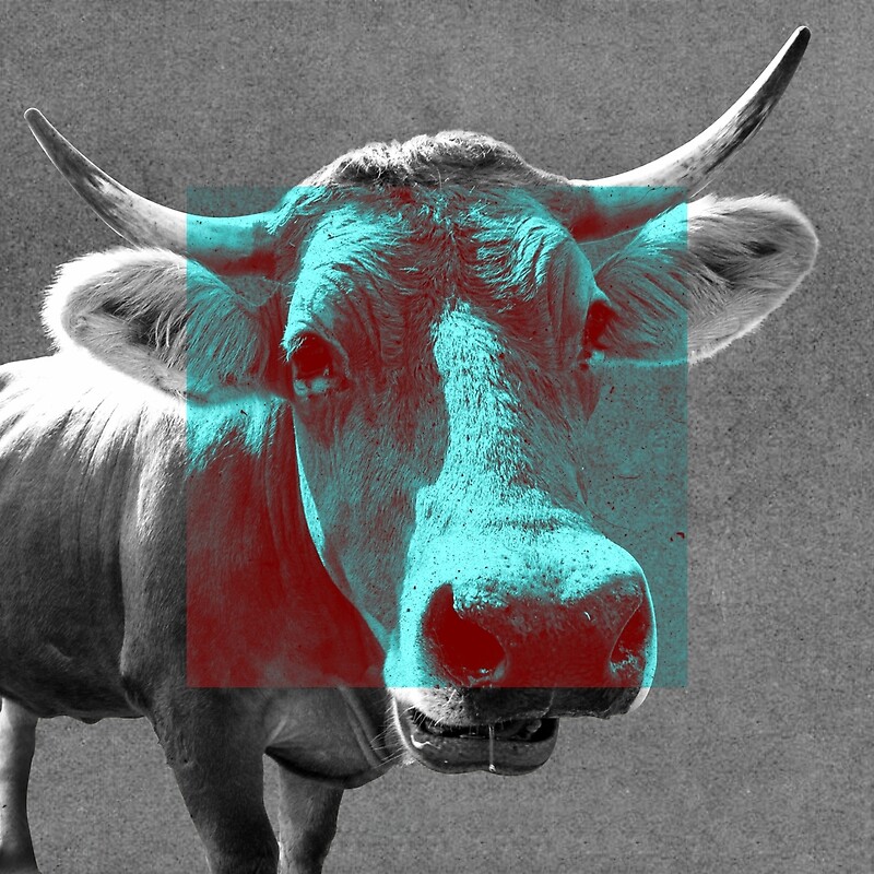 "Inkomo " by yayayawn | Redbubble