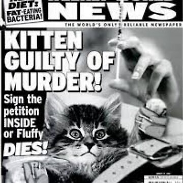 "Kitten guilty of murder bizarre odd strange feline kitty cat ...