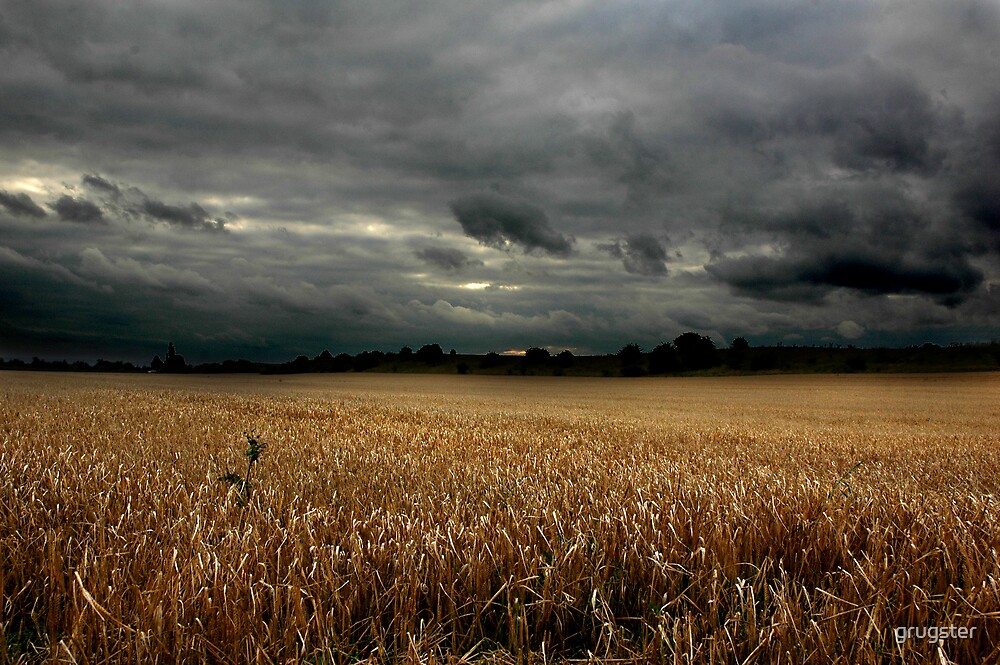 "Stormy field" by grugster | Redbubble