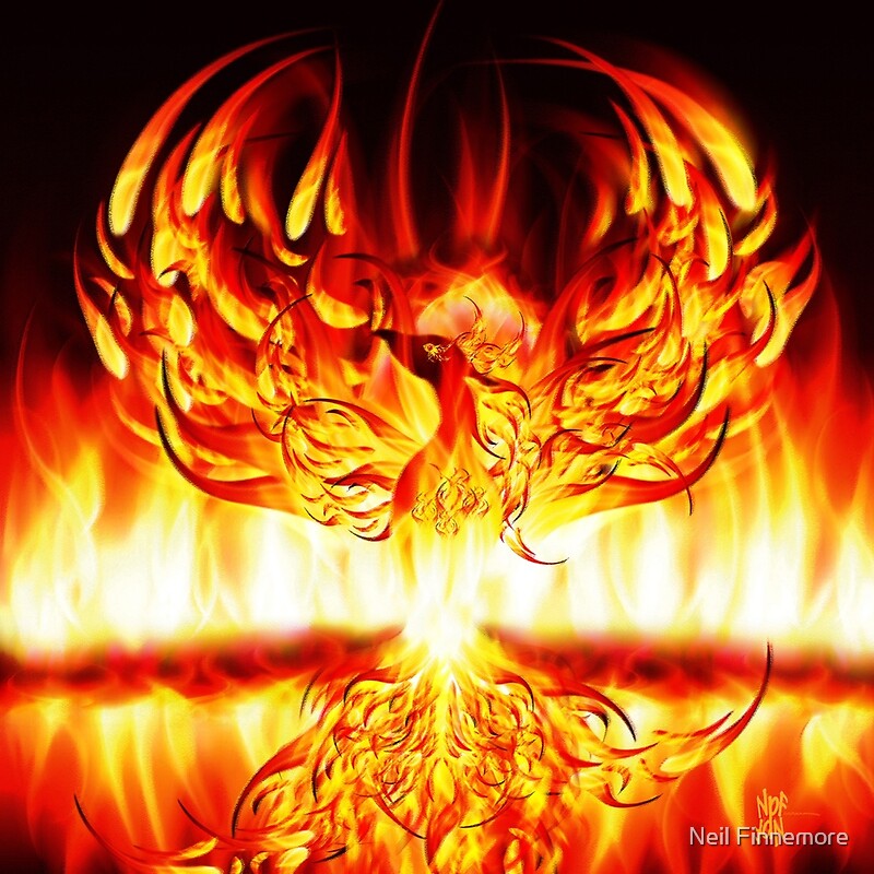 "PHOENIX RISING" by Neil Finnemore | Redbubble