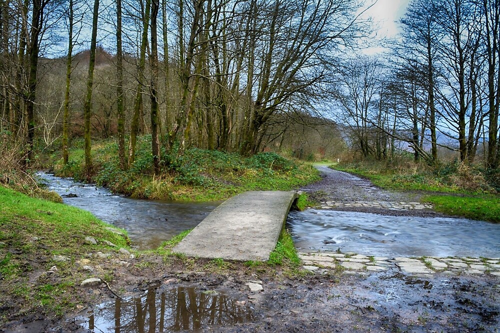 "Pixie Bridge, Treherbert." by leebee101 | Redbubble