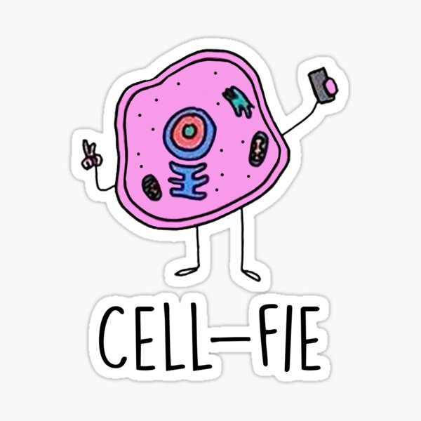 Biology Stickers | Redbubble