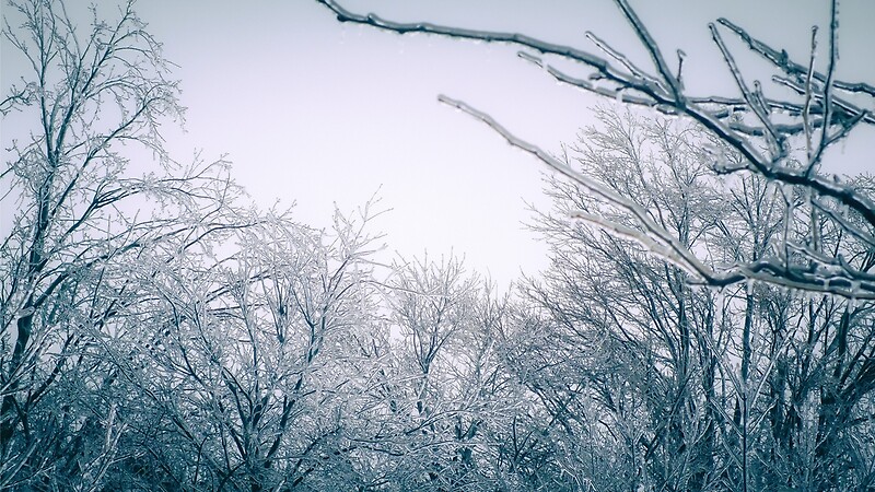 "Winter in Elora, Ontario" by Daniel Johnston | Redbubble