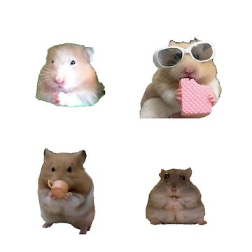 "Hamster Meme" Sticker for Sale by juliaj1207 | Redbubble