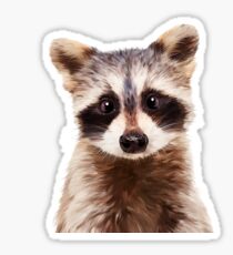 Raccoon Stickers | Redbubble