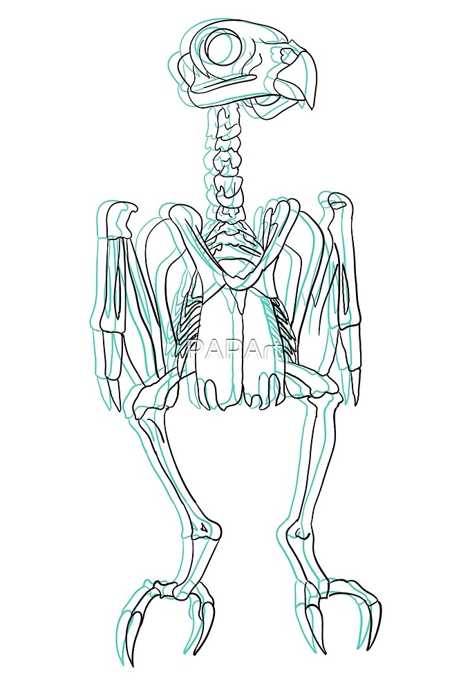 "owl skeleton " by PAPArt | Redbubble