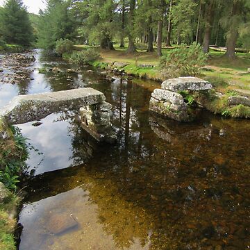 "Bellever Clapper Bridge, Dartmoor National Park UK" Tote Bag for Sale ...