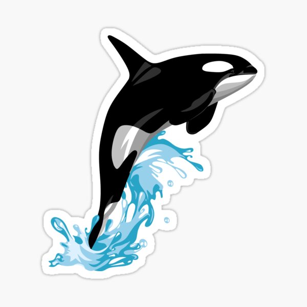 Orca Stickers | Redbubble