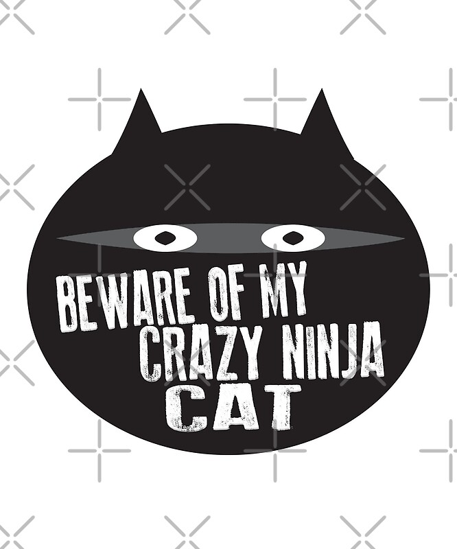 "Beware of My Crazy Ninja Cat" by jitterfly | Redbubble