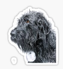 Labradoodle: Stickers | Redbubble