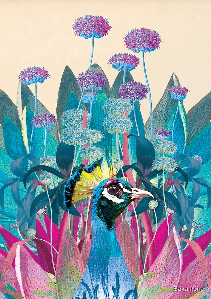 "Monara" by Bakamuna | Redbubble