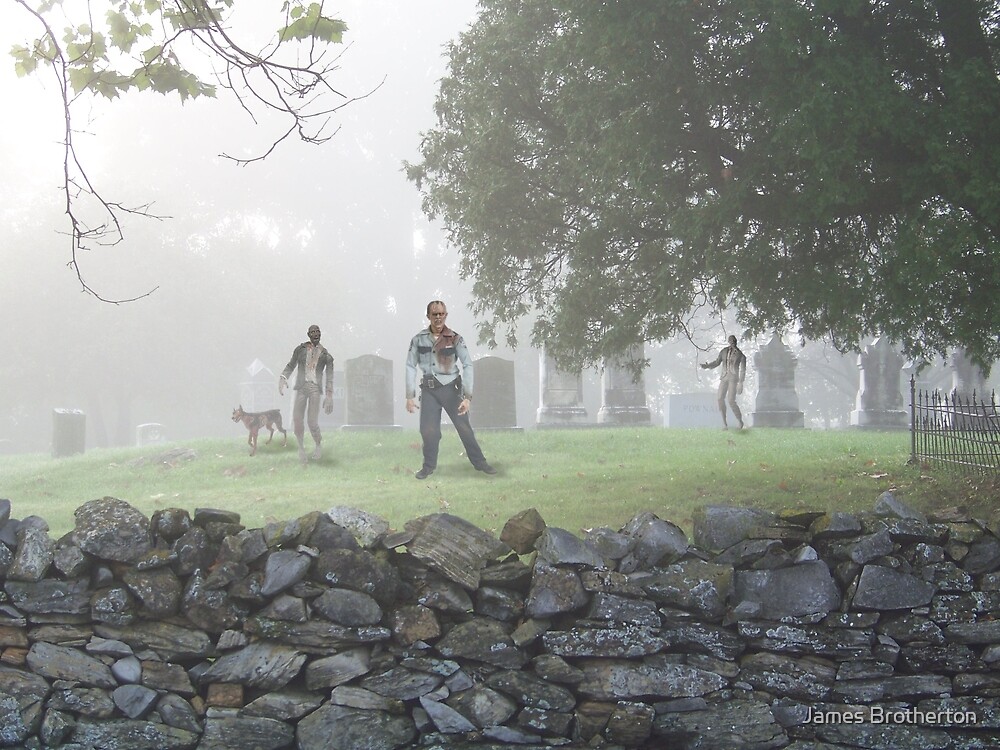 "Walkers" by James Brotherton | Redbubble
