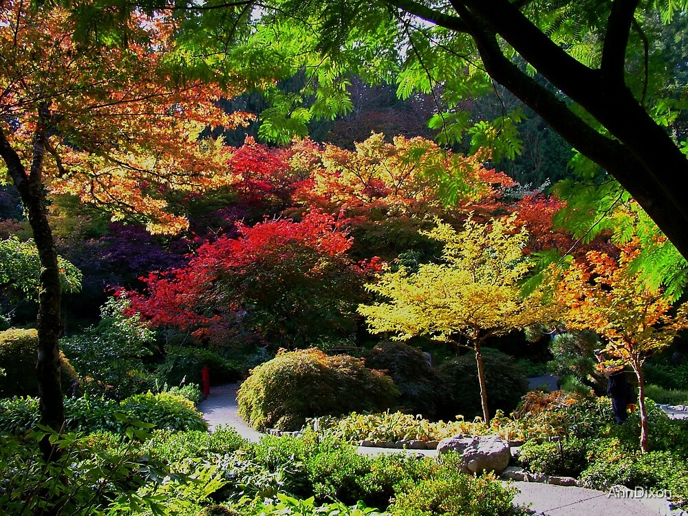 "BUTCHART Gardens in FALL" by AnnDixon | Redbubble