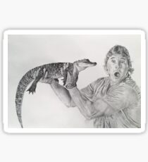 Steve Irwin: Stickers | Redbubble