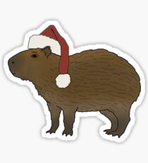 Capybara Gifts & Merchandise | Redbubble