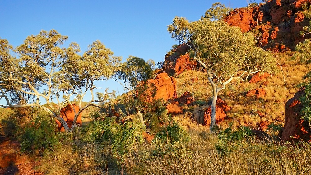 "Pilbara Morning" by Harry Oldmeadow | Redbubble
