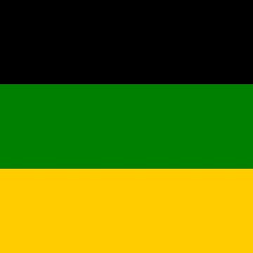 "The African National Congress (ANC) Flag" Essential T-Shirt for Sale ...