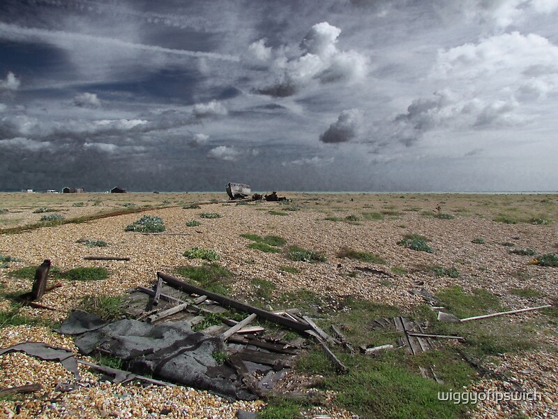 "Dungeness; Britain's Only Desert" by wiggyofipswich | Redbubble