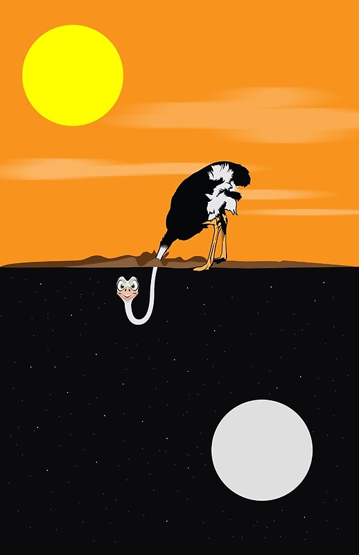 "Animal gravity" by Tony Vazquez | Redbubble