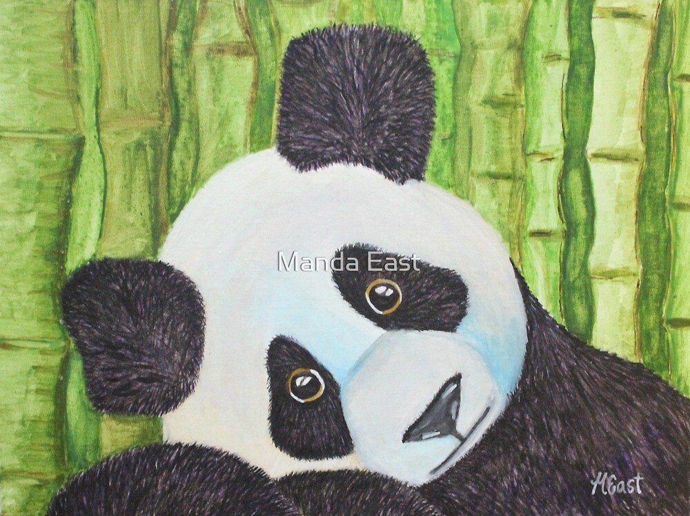 "Watercolor Panda in Bamboo Forest" by Manda East | Redbubble