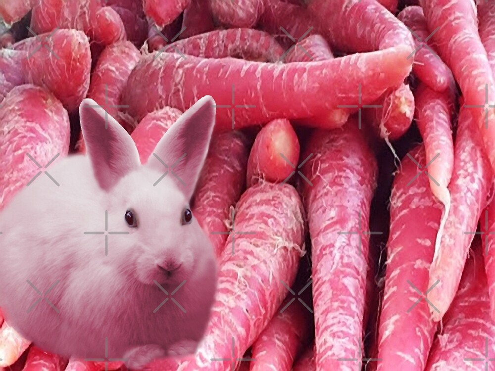 "REAL CAPTURE OF PINK CARROTS,AND PINK RABBIT PICTURE AND OR CARD.." by ...