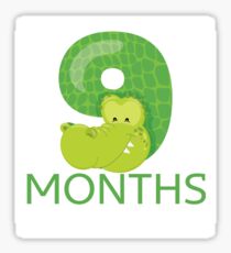 9 Months: Stickers | Redbubble