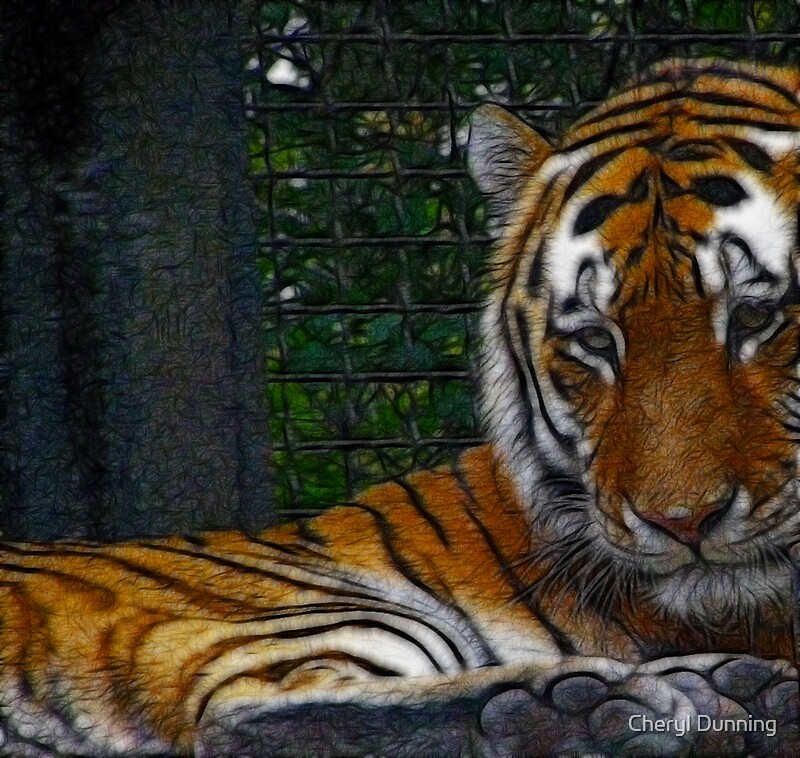 "sad tiger" by Cheryl Dunning | Redbubble