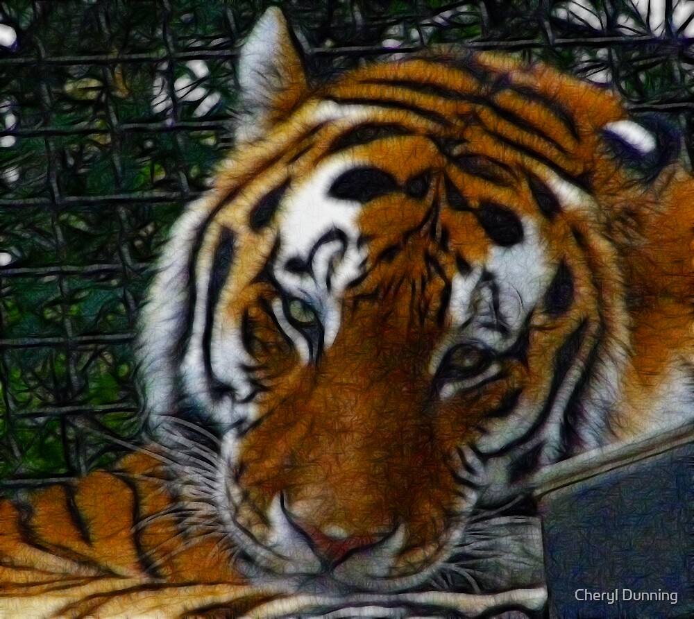 "sad tiger 2" by Cheryl Dunning | Redbubble