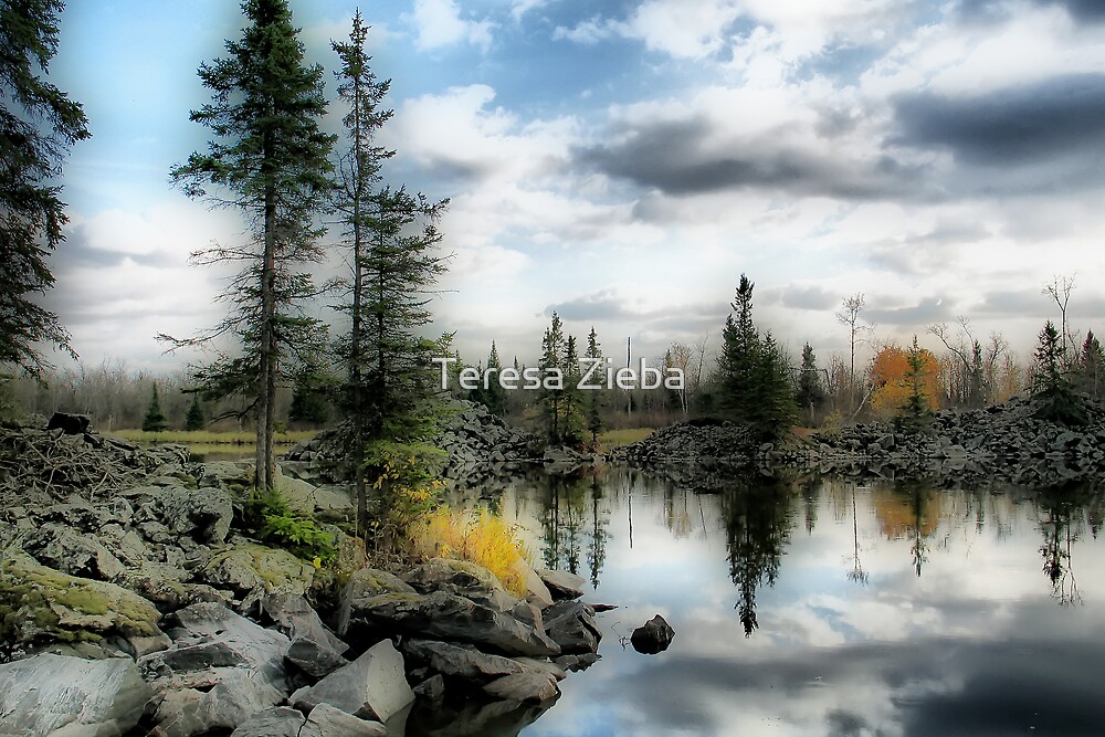 "Mysterious Scenery" by Teresa Zieba | Redbubble