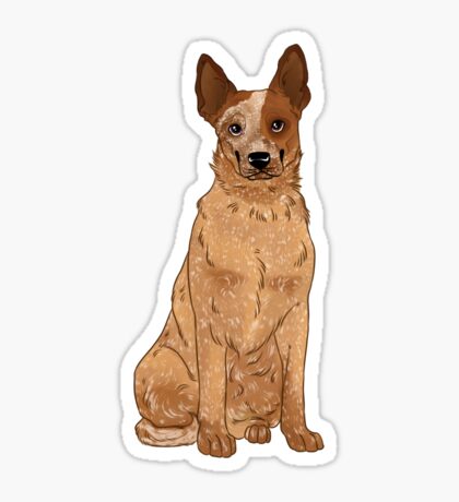 Red Cattle Dog Stickers | Redbubble