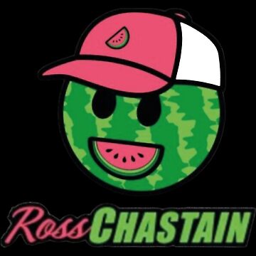 "Ross chastain " Sticker for Sale by JugglingFashion | Redbubble