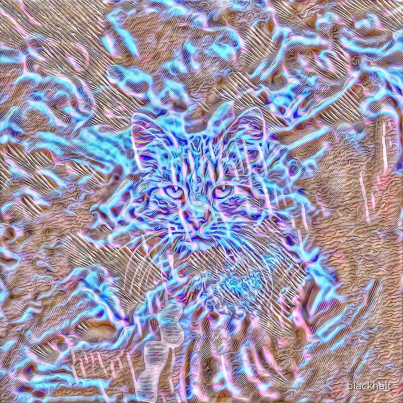 "Ghost Cat" by blackhalt | Redbubble