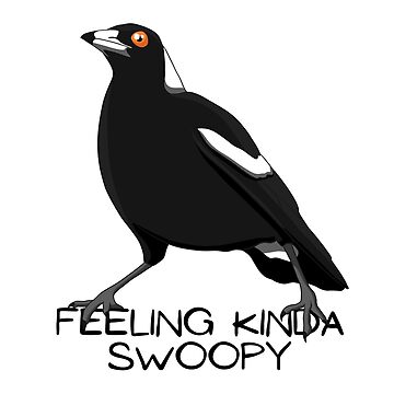 "Funny Australian magpie feeling kinda swoopy" Sticker for Sale by ...