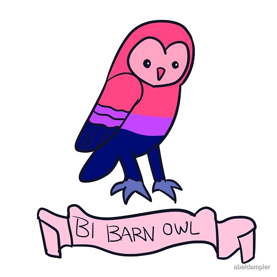 "Pride Birds - Bi Barn Owl" by abeldampier | Redbubble