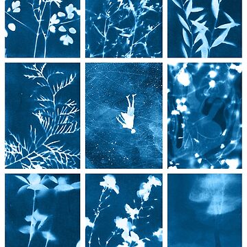 "indigo - rm" Photographic Print for Sale by Inna Zoldyck | Redbubble