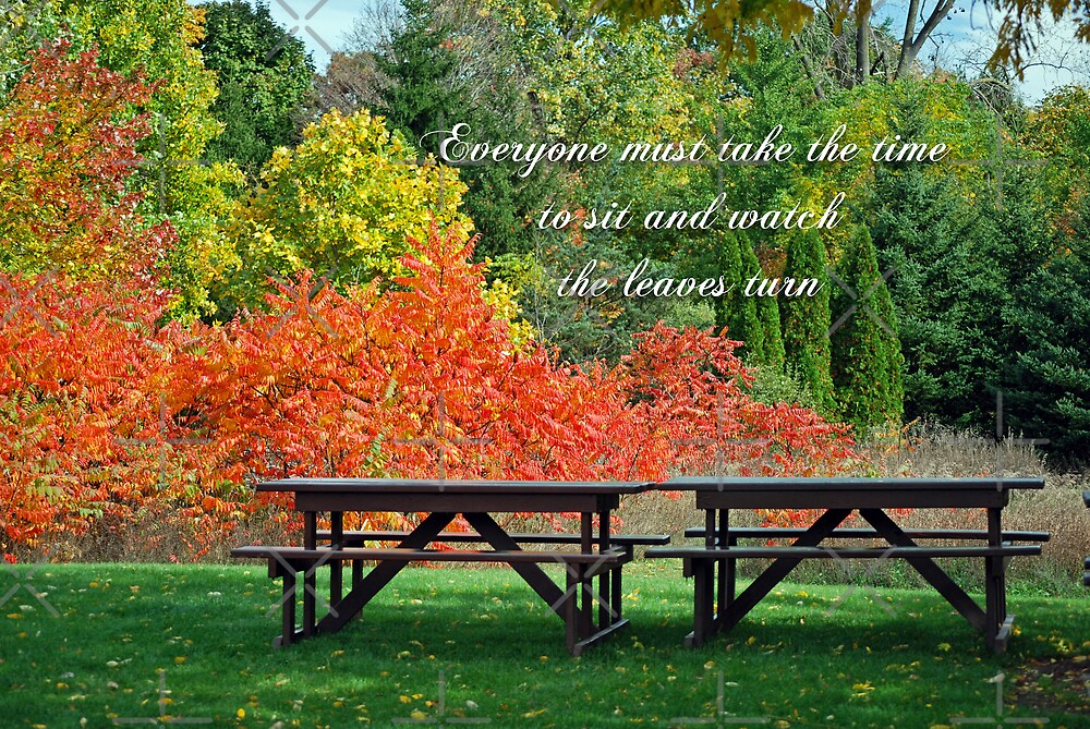 "Season's Silent Splendor" by Maria Dryfhout | Redbubble