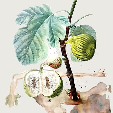 "Salvador Dali-Fig Man" Poster for Sale by Ivana-B | Redbubble