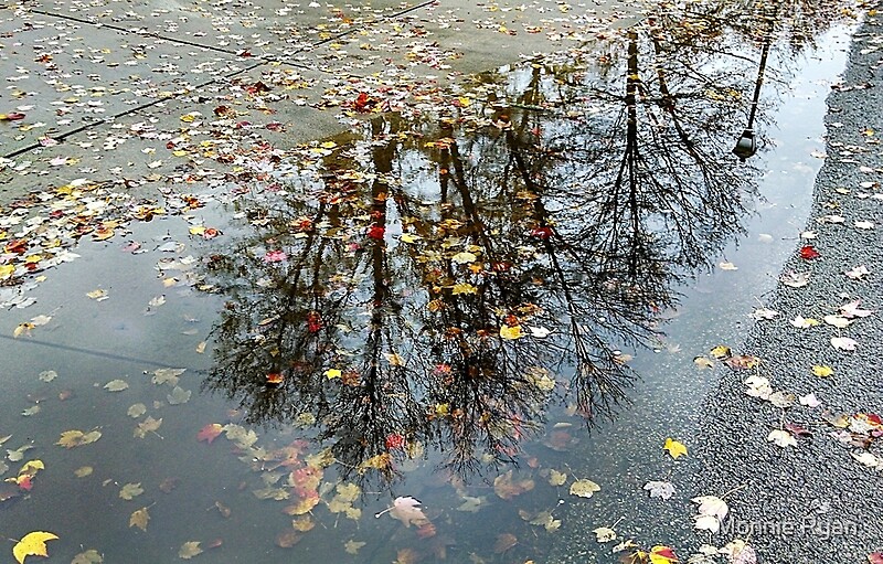 "Reflections of a Stormy Night" by Monnie Ryan | Redbubble