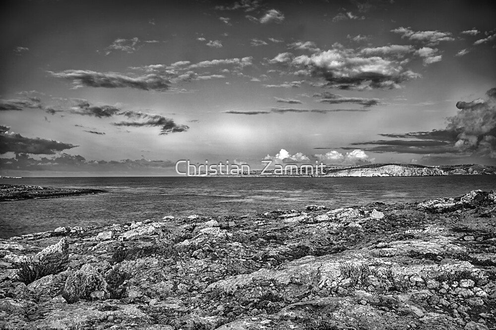 "By the sea" by Christian Zammit | Redbubble