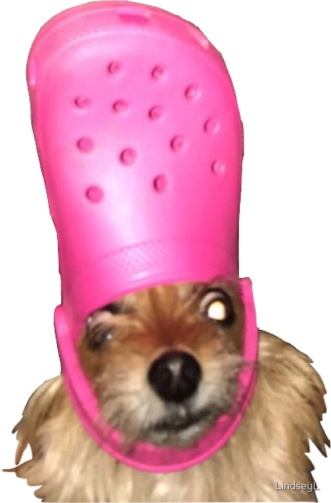 "Croc Dog" by LindseyL | Redbubble