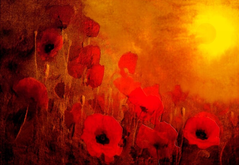 "Poppy heaven " by Valerie Anne Kelly | Redbubble