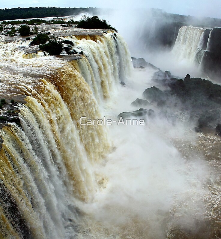"Devil's Throat at Iguassu Falls, Brazil & Argentina. " by Carole-Anne ...