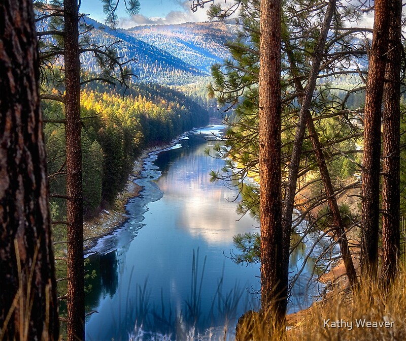 "The Clark Fork River Through the Trees - Montana" by Kathy Weaver | Redbubble