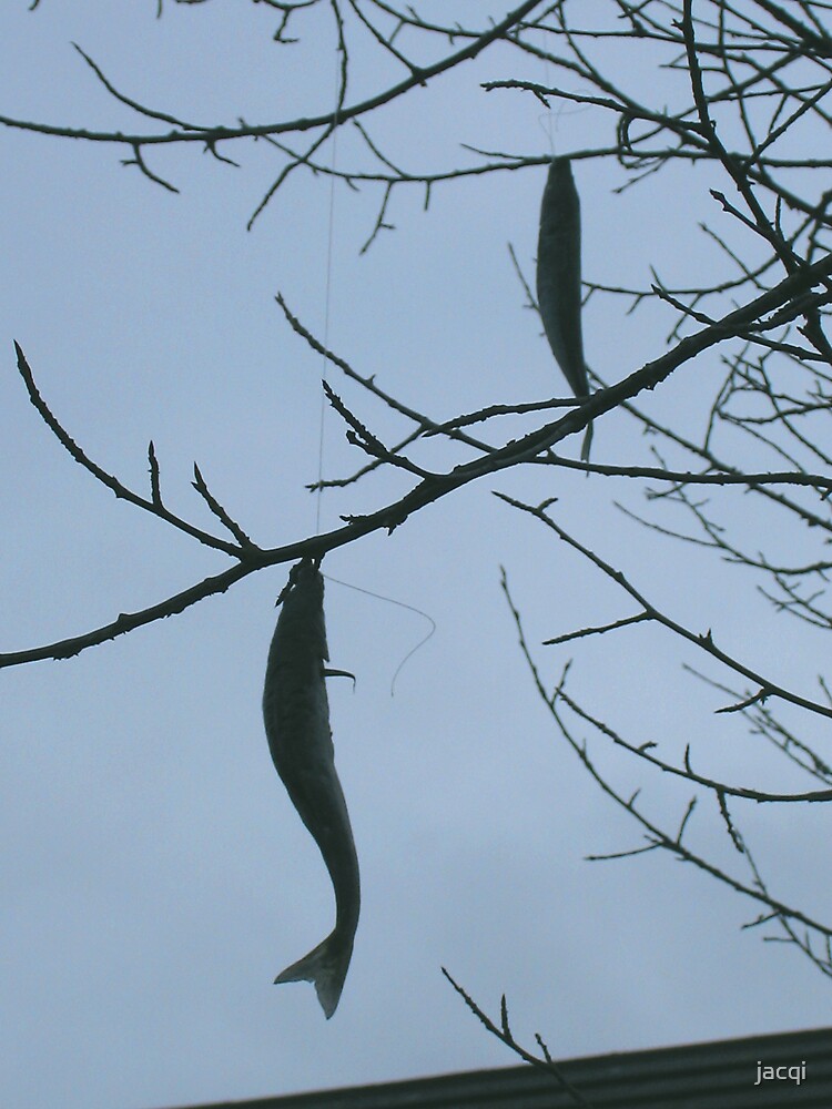 "Yes it IS fish in a tree!" by jacqi | Redbubble