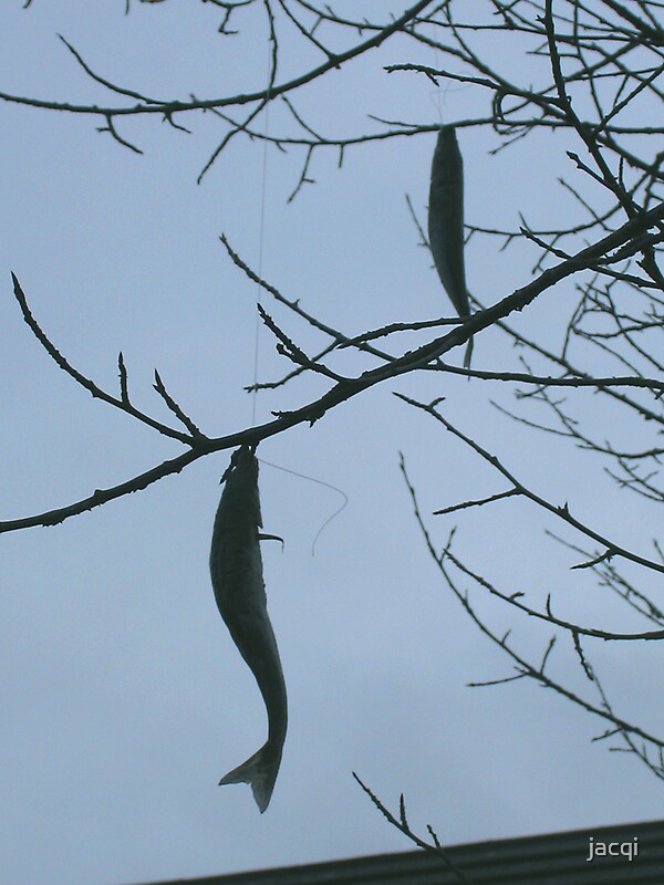 "Yes it IS fish in a tree!" by jacqi | Redbubble