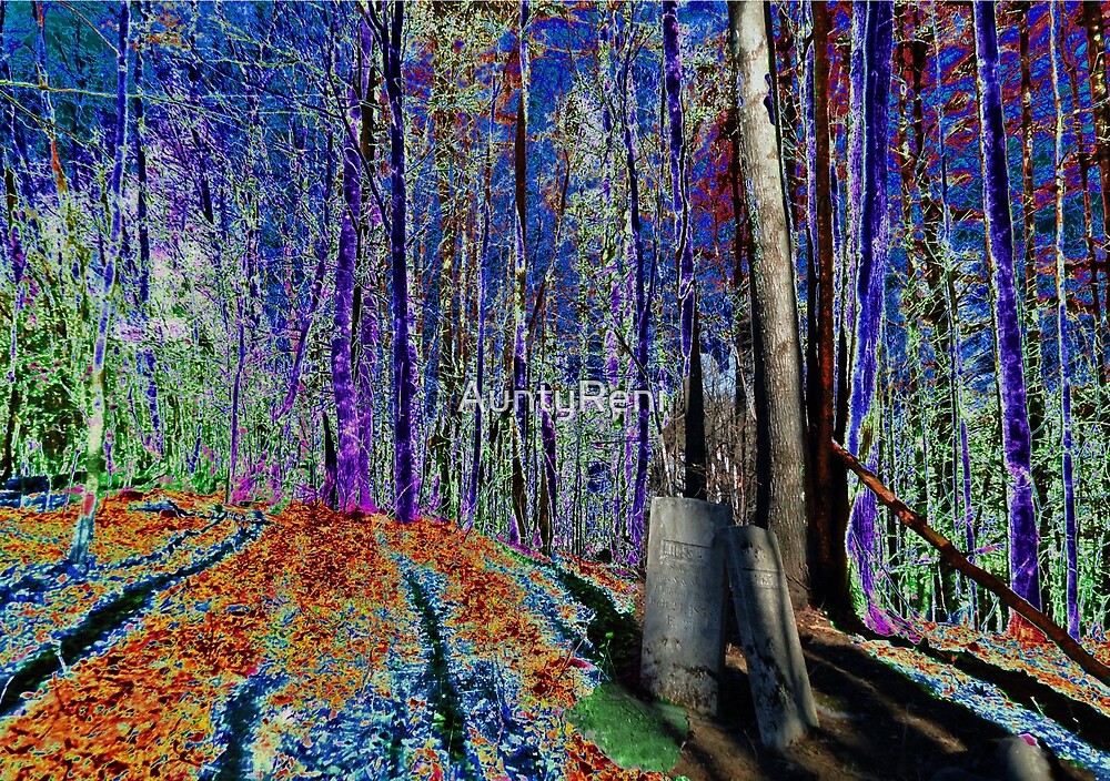 "A Rip in Time" by AuntyReni | Redbubble